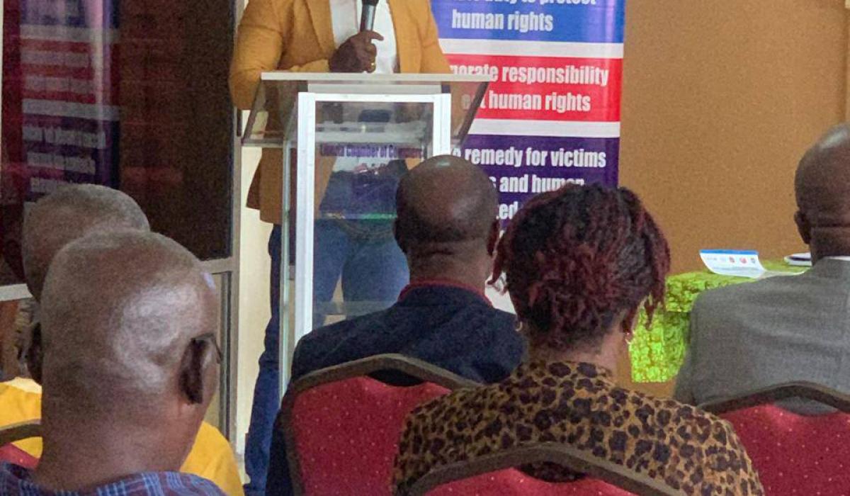 Pictorial - National Human Rights Action Plan Steering Committee ...